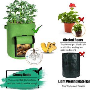 vigor | Other | Perfect Gift Double Thickened Felt Potato Grow ...